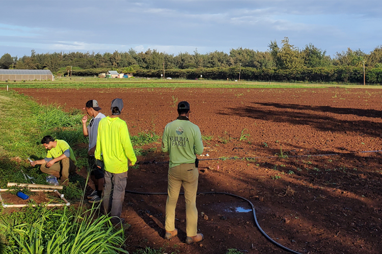 Renewables | Par Pacific